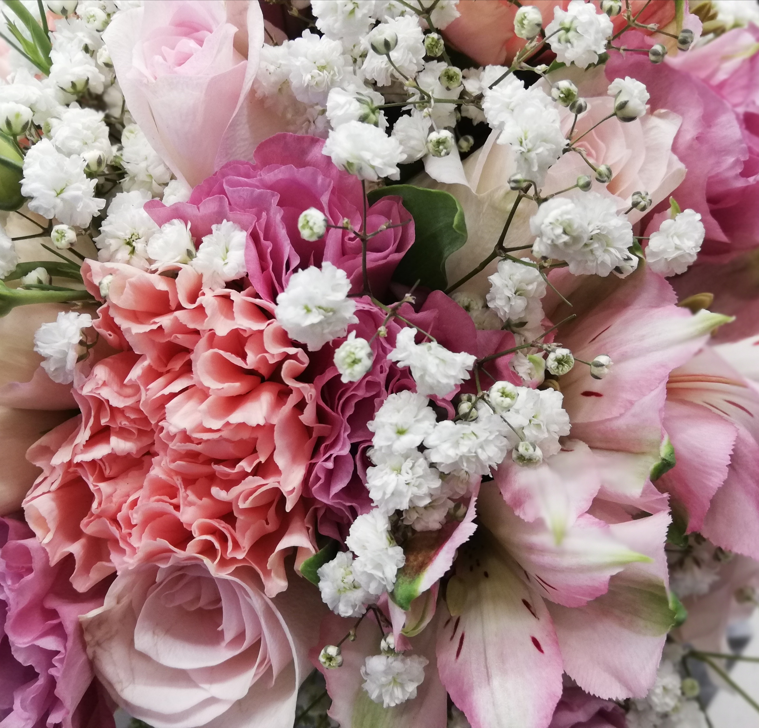 Florist Choice - Baldivis Enchanted Florist