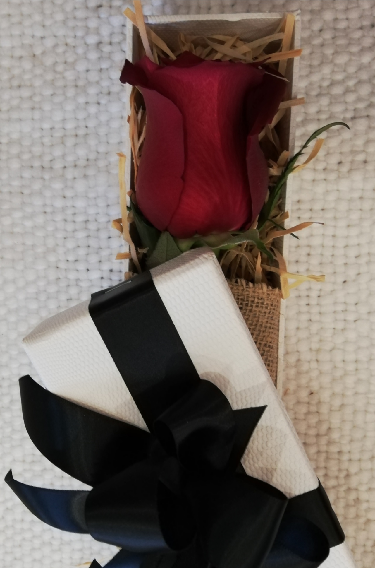 Perth Lock Down Special. Single Red Rose in a presentation Box ...