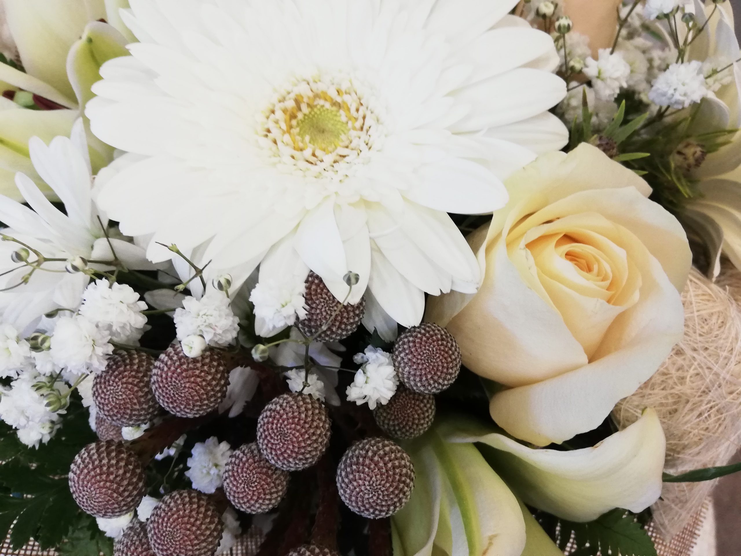 Florist Choice - Baldivis Enchanted Florist