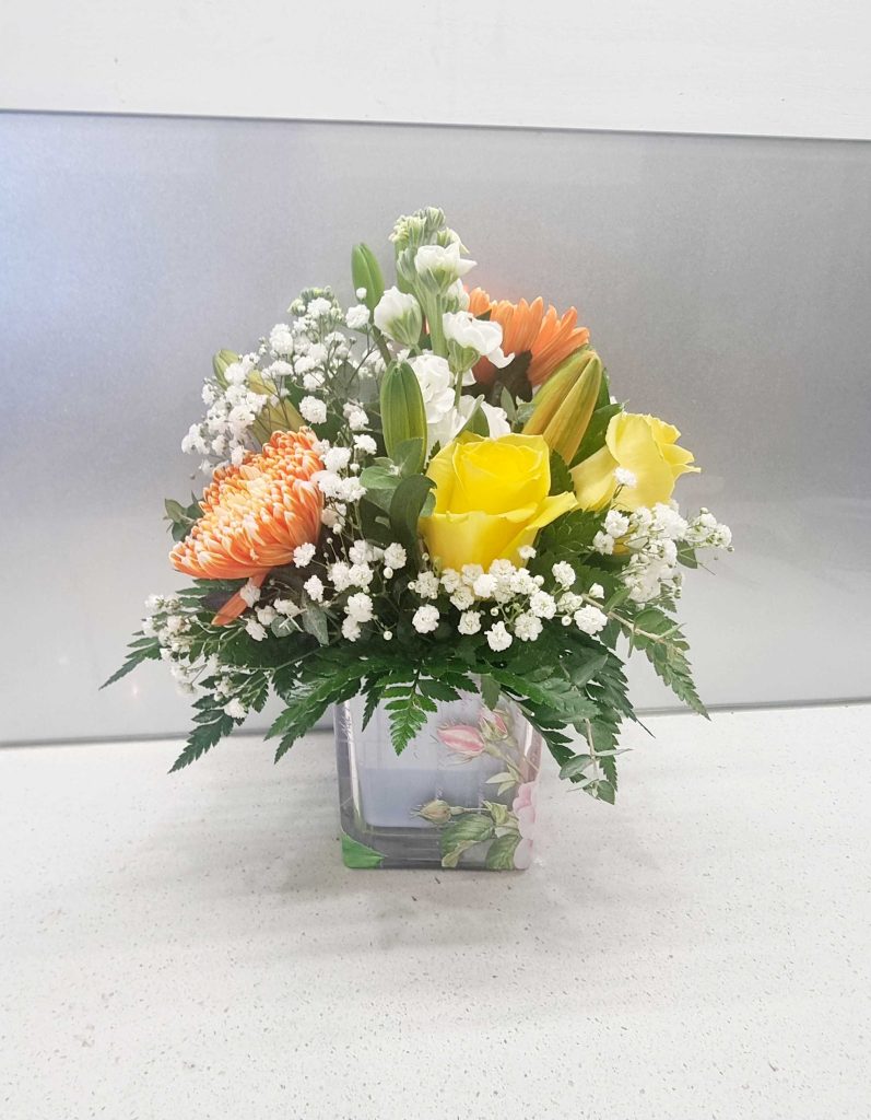 Sherbet Fizz - Baldivis Enchanted Florist